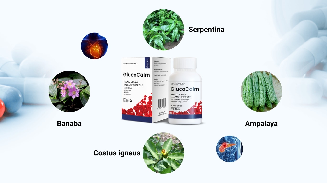 GlucoCalm – Likas na Solusyon para sa Diabetes sa Pilipinas - Glucocalm
